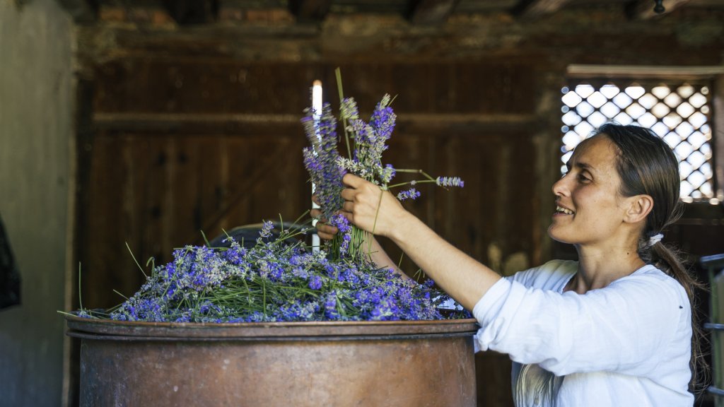 Еньовден е - вижте кой има имен ден днес - Webcafe.bg