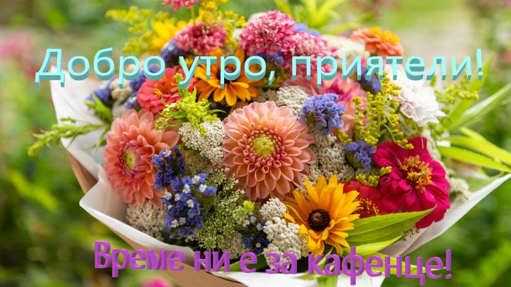 Най-досадните публикации във Facebook - Webcafe.bg