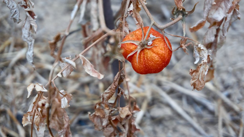 Доклад на ЕК: Сушата в Европа е най-тежката от 500 години насам - Webcafe.bg