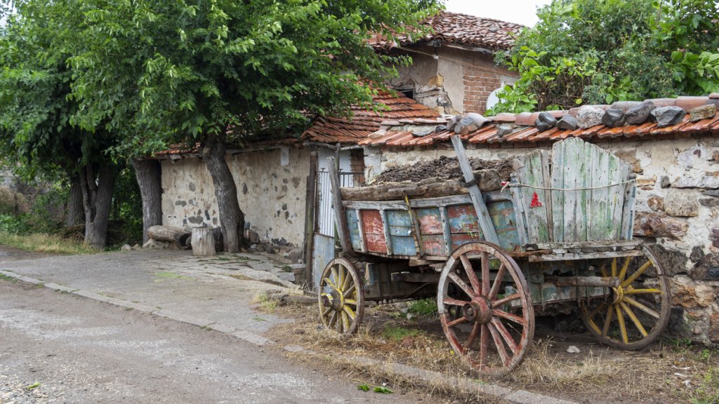 Не расте и си пустее - Webcafe.bg