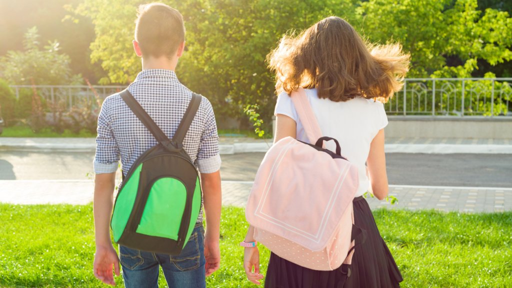 Малките зубрачета в голямата система - Webcafe.bg