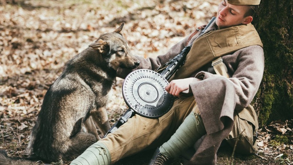 Противотанковите кучета на СССР - жестокият експеримент, който не проработи на фронта - Webcafe.bg