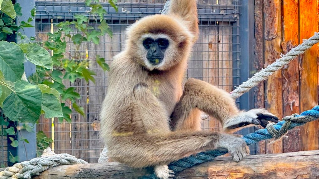 5 причини да отидем до софийския зоопарк - Webcafe.bg