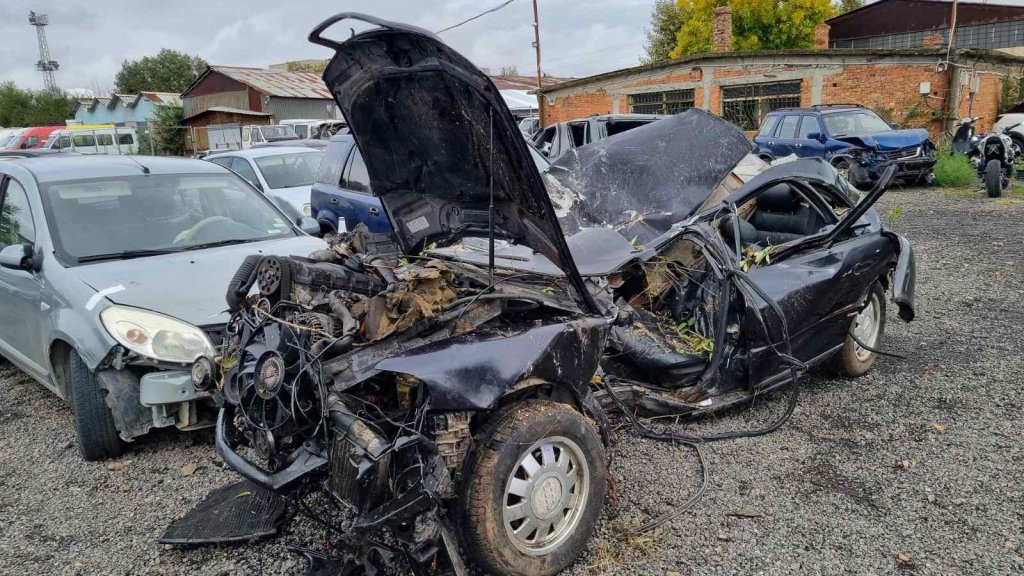 Започва пълна проверка как загиналият край Созопол е взел книжката си - Webcafe.bg